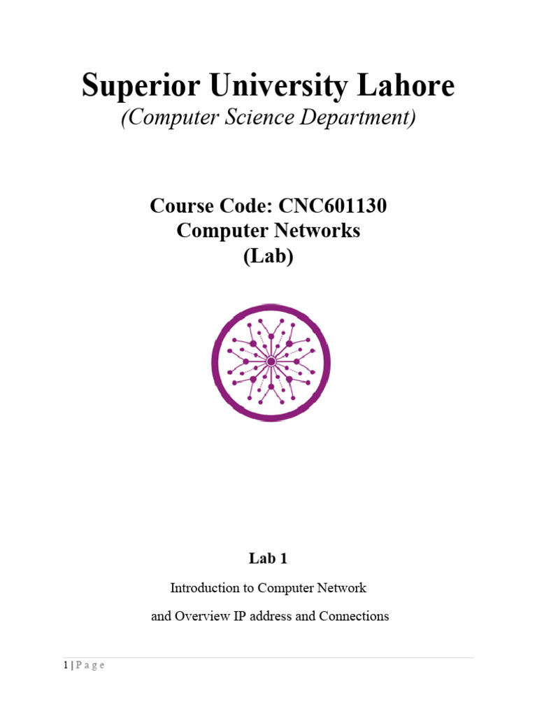 Task 01 | PDF | Computer Network | Internet