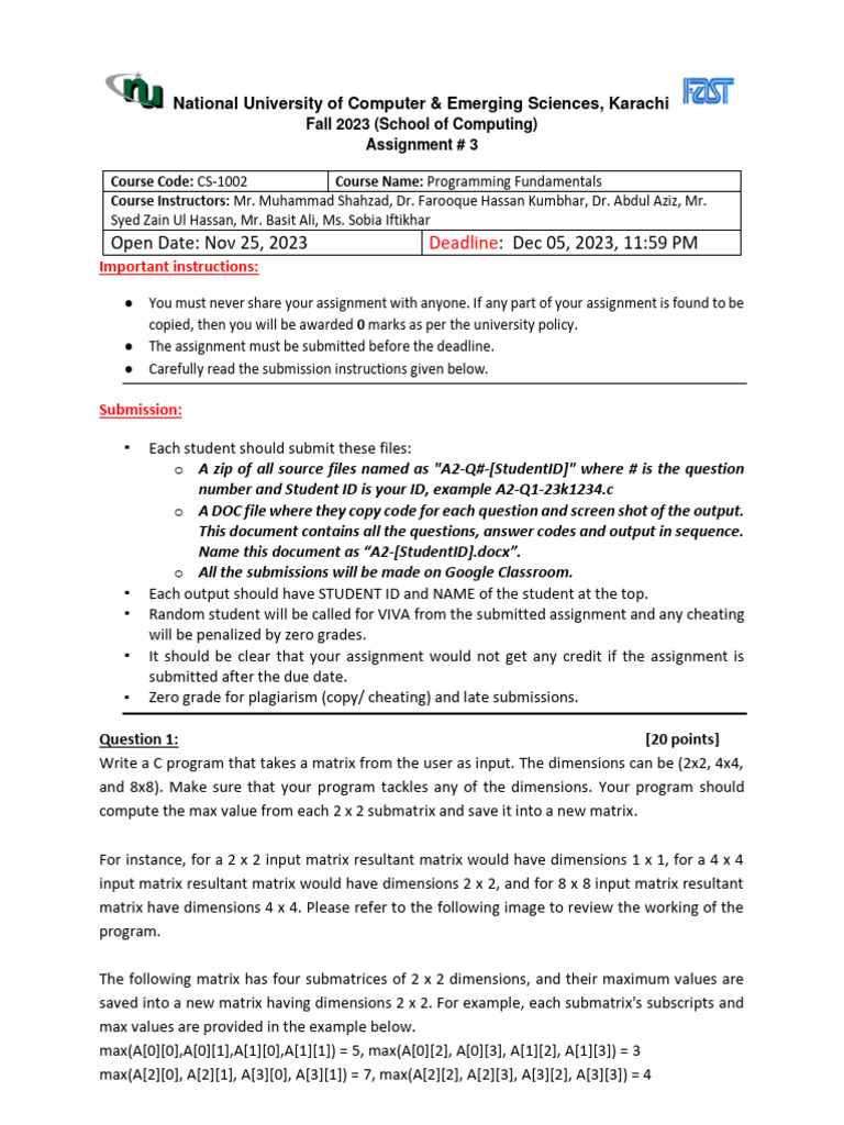 CS-1002 Programming Assignment | PDF | Matrix (Mathematics) | Computing
