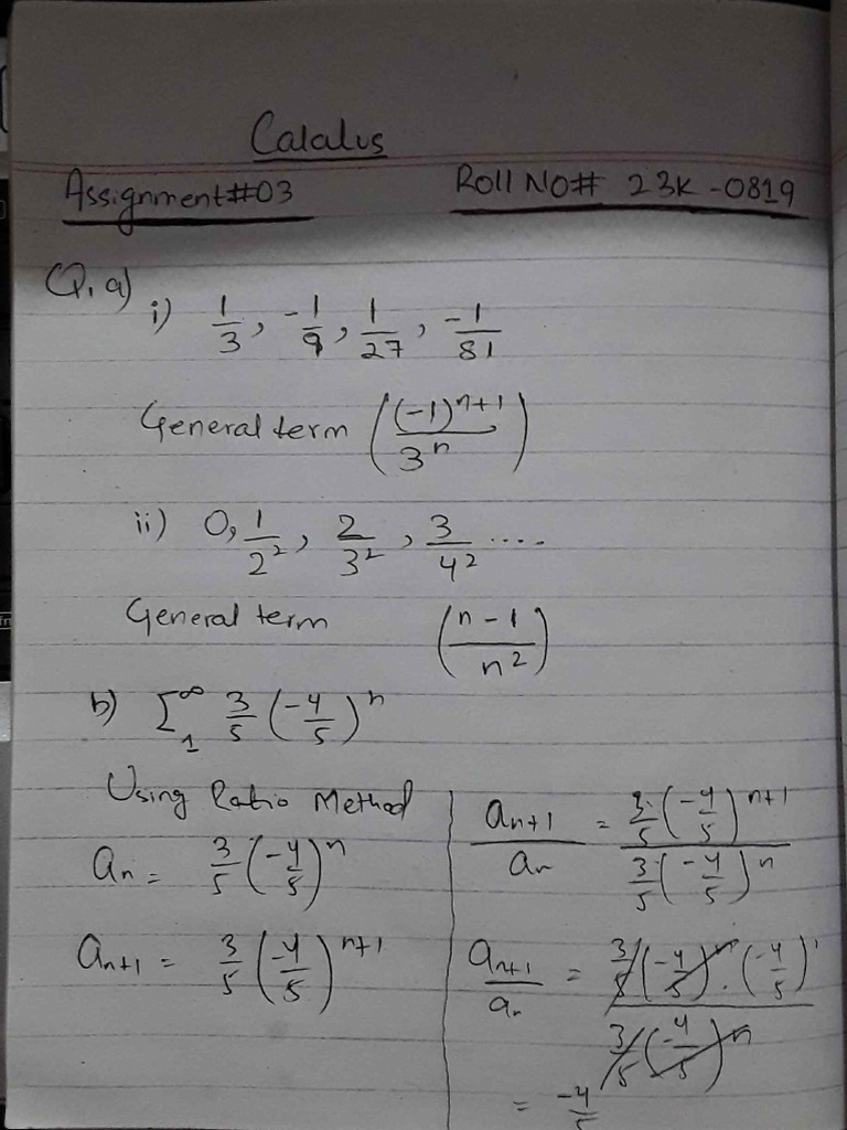Calculus Assignment | PDF