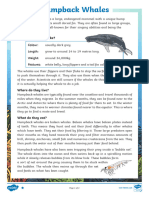 The Snail and The Whale | PDF | Whales