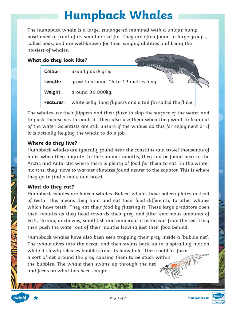 t2 e 4970 Uks2 Humpback Whale Differentiated Reading Comprehension Activity | PDF | Whales ...