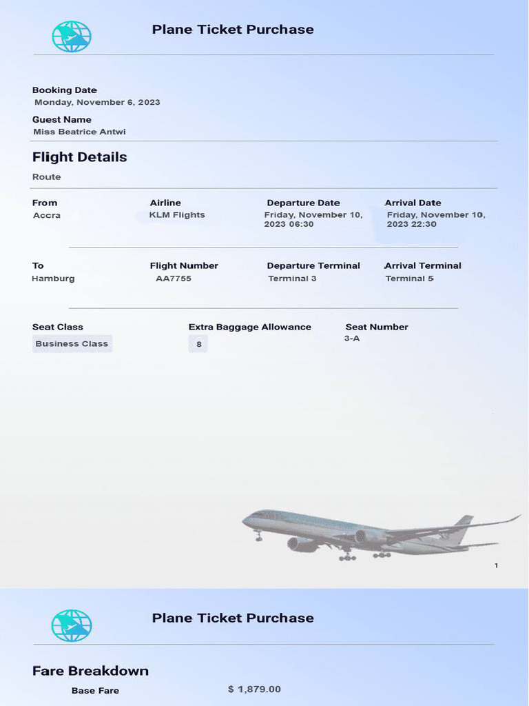 Plane TicketReceipt | PDF
