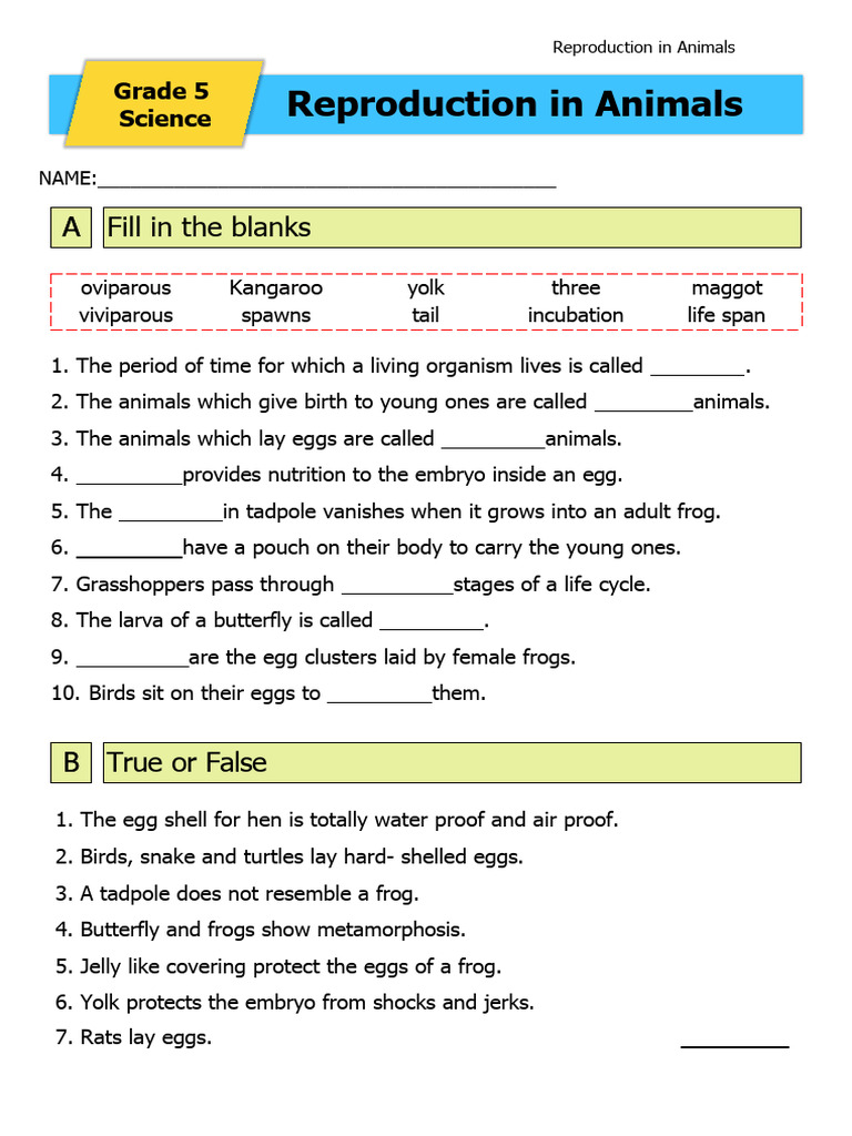 Animal Reproduction Worksheet for Grade 5 | PDF | Egg | Spawn (Biology)
