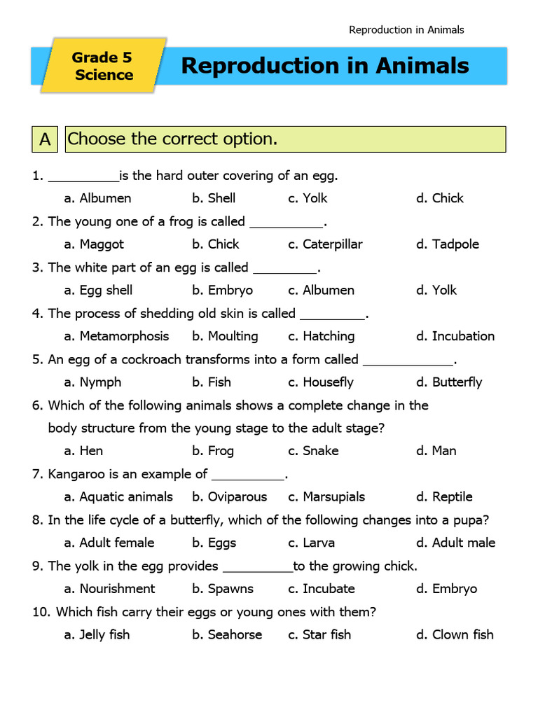 Science Worksheet Reproduction in Animals Class 4 B | PDF | Egg | Yolk