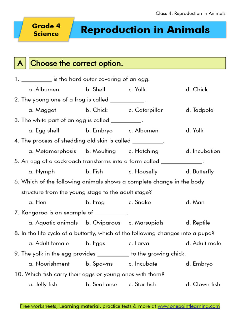 Class 4 Animal Reproduction Worksheet | PDF | Egg | Yolk