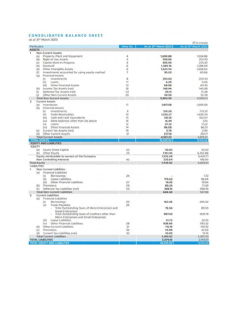 FM Pidilite Balance Sheet PBL | PDF