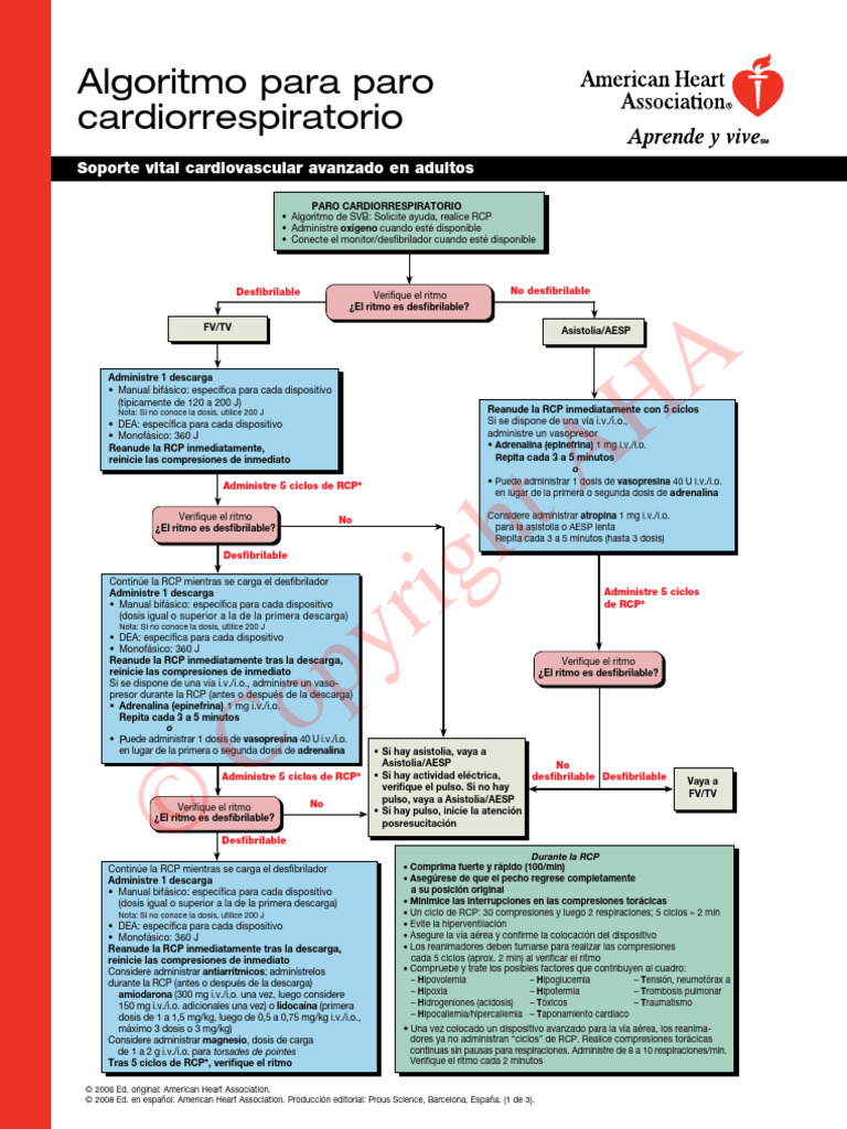 ACLS Algoritmos | Descargar gratis PDF | Reanimación cardiopulmonar | Medicina CLINICA