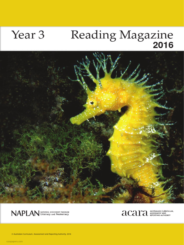 Year 3 NAPLAN Reading Magazine 2016 | PDF | Bat | Fly
