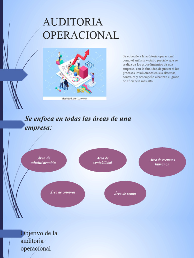 Copia de Auditoria Operacional | PDF | Auditoría | Business