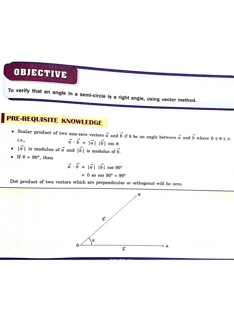 12 Maths Activity No 7 | PDF