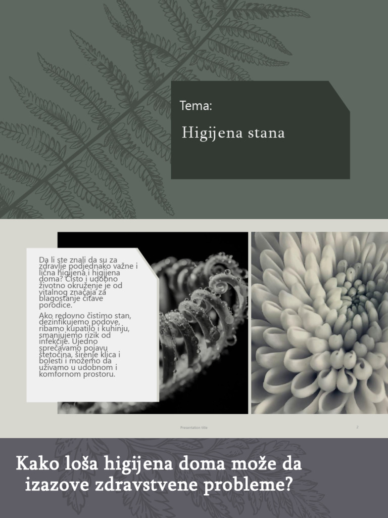 Higijena Stana | PDF