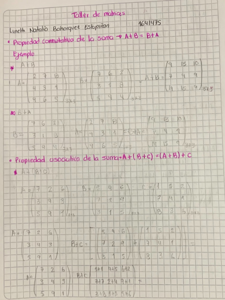 Matrices Algebra Lineal | PDF