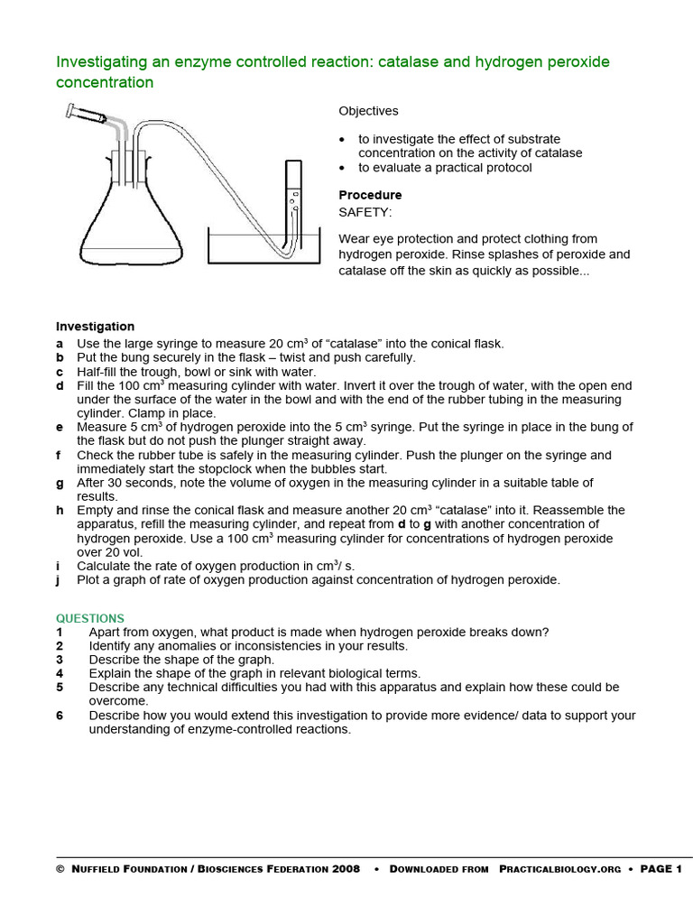 Catalase Activity with Hydrogen Peroxide | PDF | Catalase | Hydrogen ...