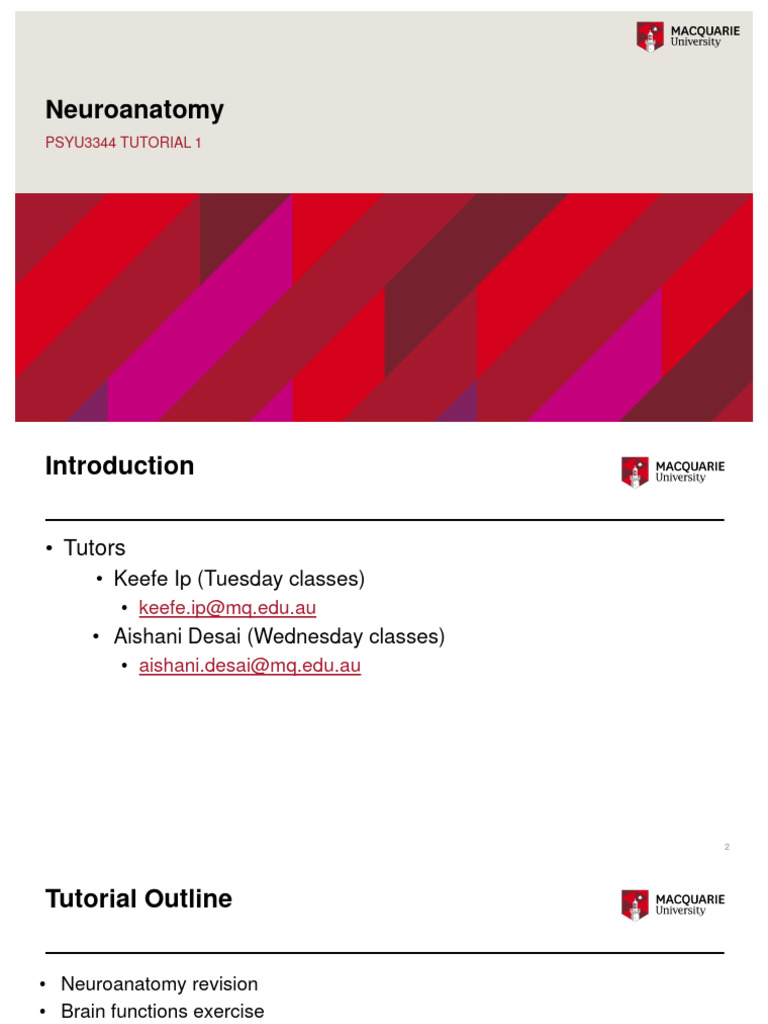 PSYU3344 Tutorial 1 | PDF | Anatomical Terms Of Location | Neuropsychology