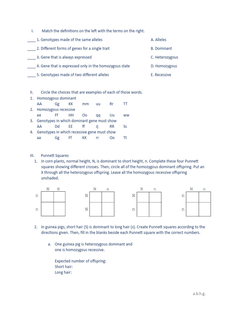Punnett Square Worksheet | Download Free PDF | Genotype | Dominance (Genetics)