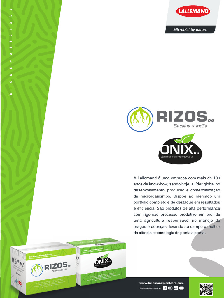 Rizos e Onix - Digital - 2022 | PDF