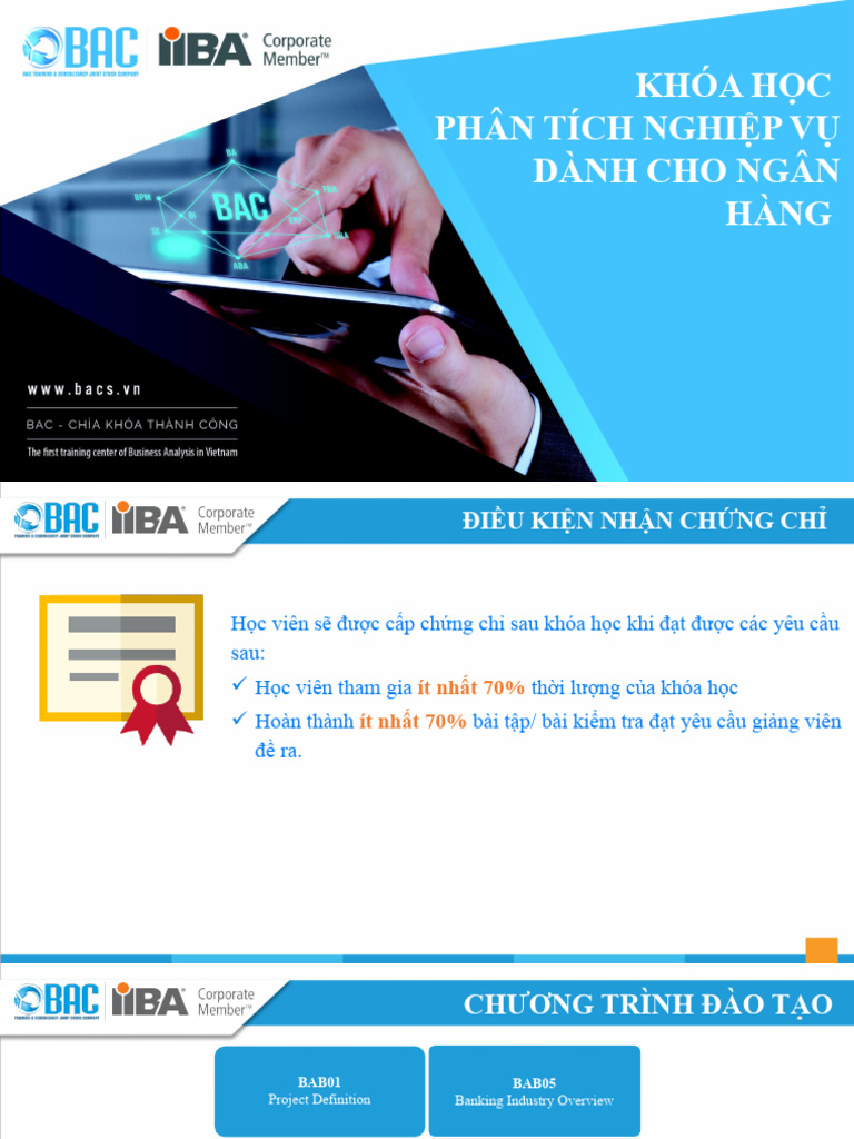 BAB - 001 - Profession & Project Definition | PDF