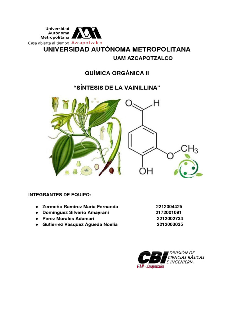 Síntesis y Estructura de la Vainillina | PDF | Comida y bebida