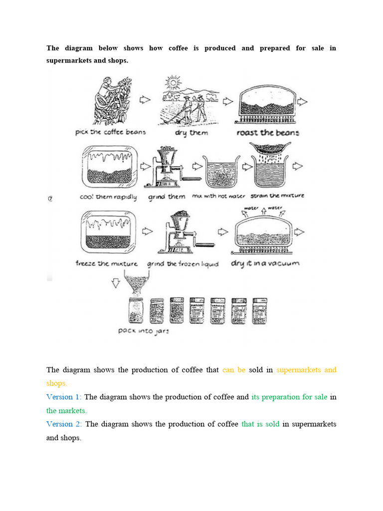 Process-Coffee Beans | PDF | Coffee | Drink