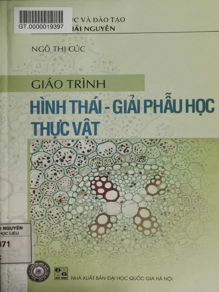 Giai Phau Hoc Thuc Vat | PDF