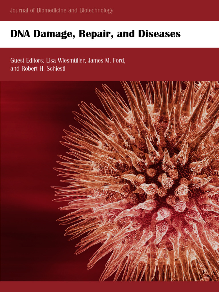 Werner 2 | PDF | Dna Repair | Dna