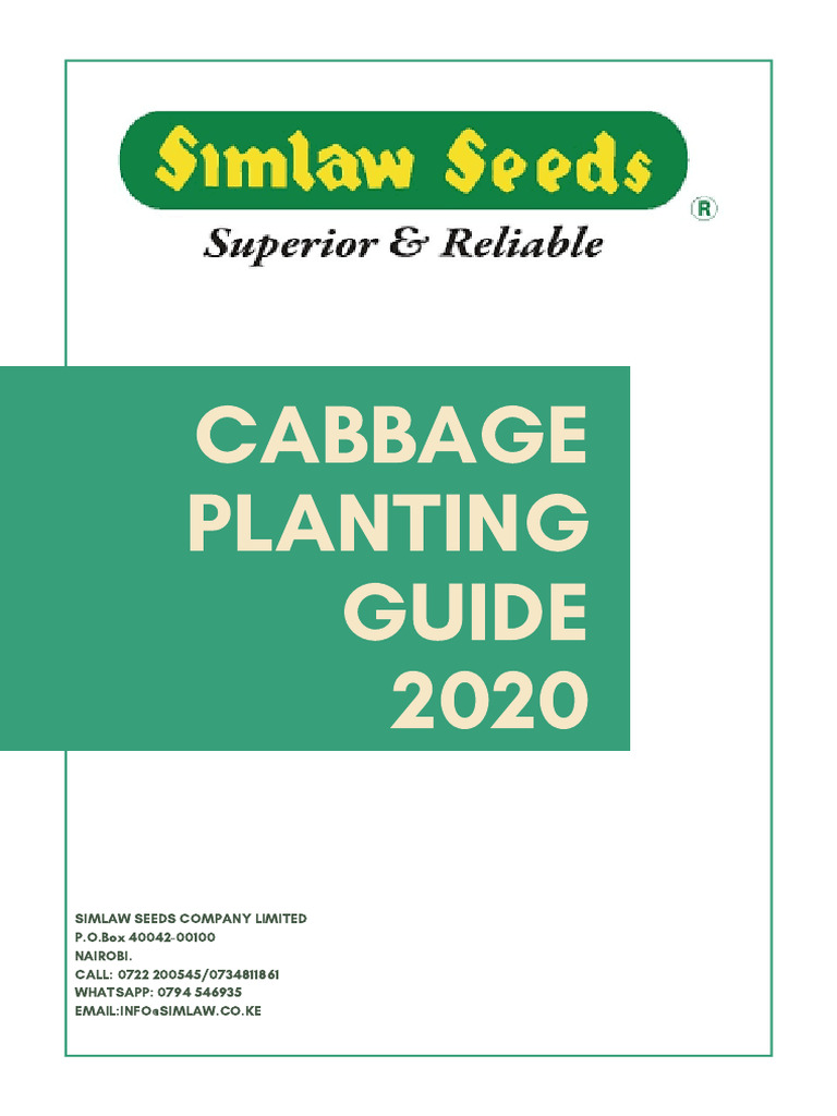 Cabbage | PDF | Cabbage | Pest (Organism)