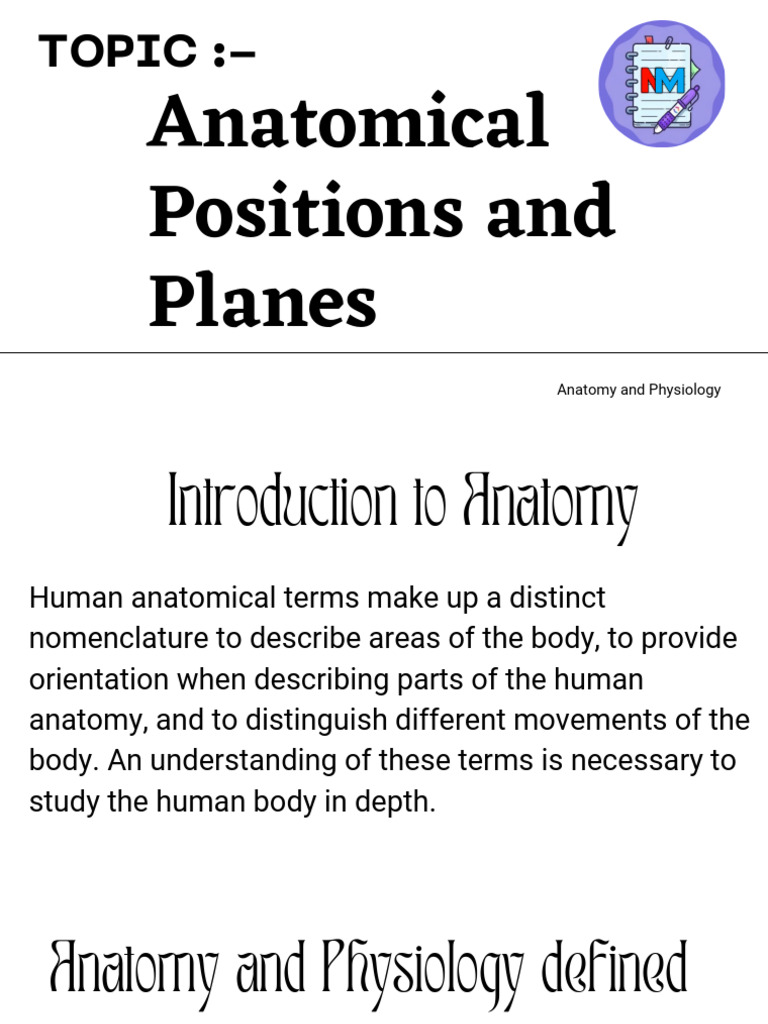 Anatomical Positions and Planes | PDF | Anatomical Terms Of Location ...