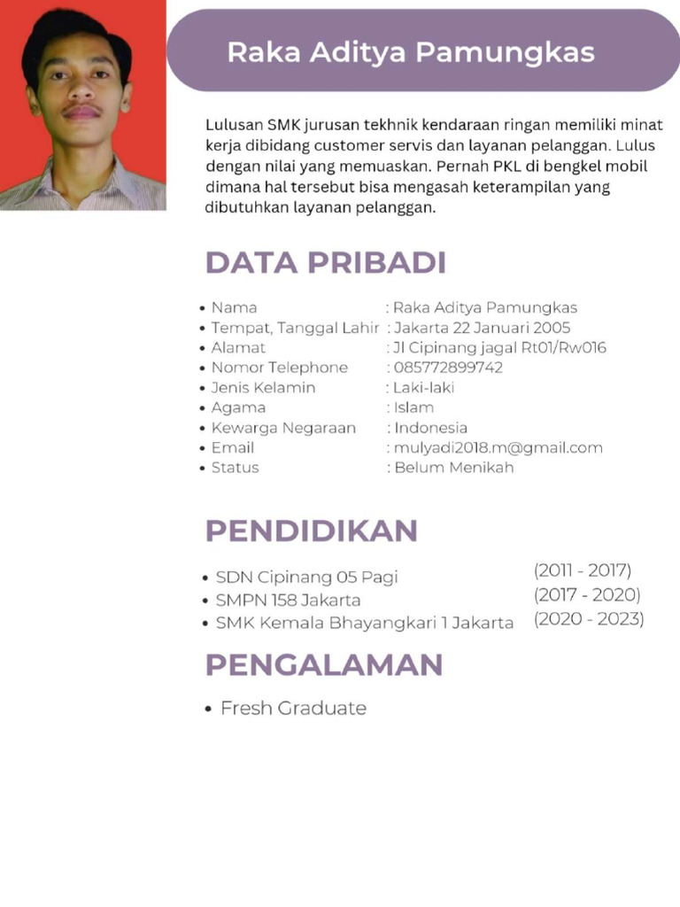 Raka Aditya Pamungkas - Compressed | PDF