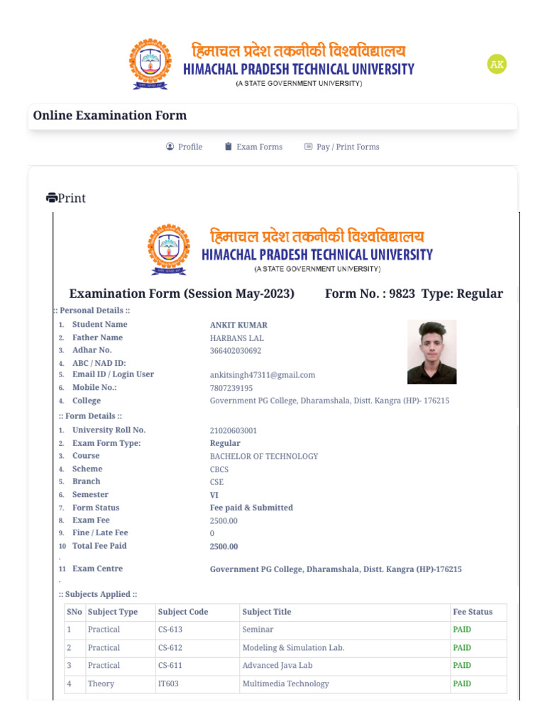 Exam Form VI | PDF | Computing | Information Technology