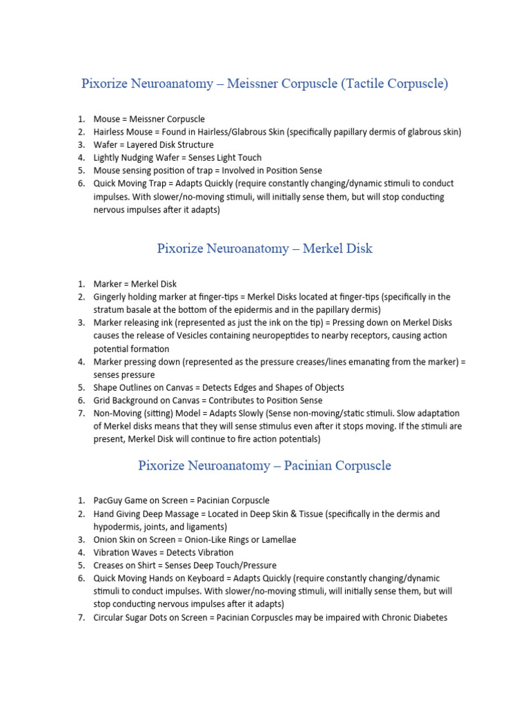 Pixorize Neuroanatomy Notes | PDF | Senses | Skin