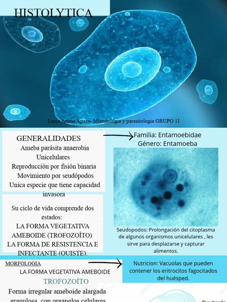 Entamoeba Histolytica | PDF | Gastroenterología | Medicina CLINICA