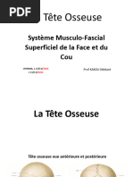 6 - Anatomie Des Os de La Face | PDF | Anatomie humaine | Appareil ...