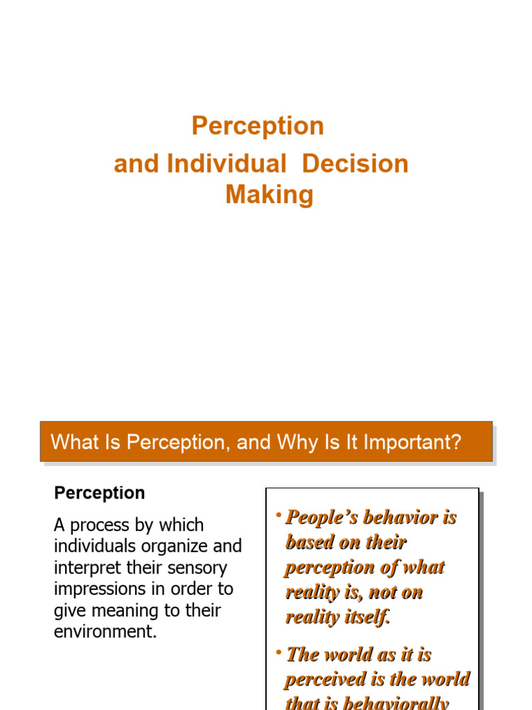 Chapter 6 Perception and Individual Decision Making | PDF | Decision Making | Creativity