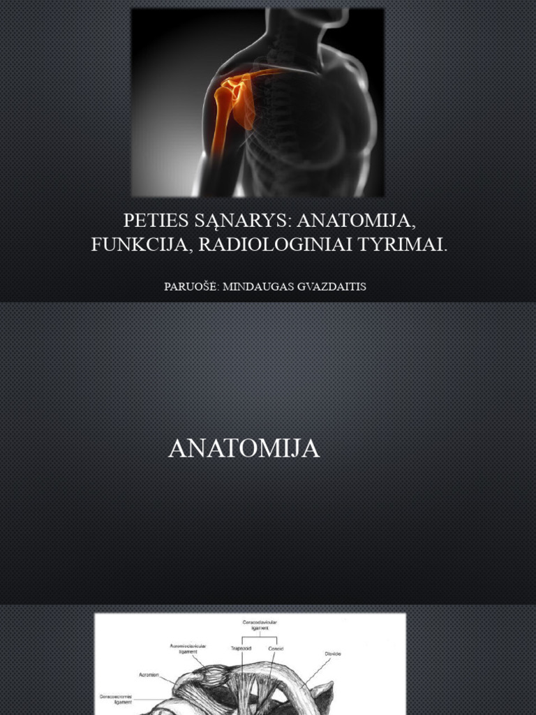 Peties Sanario Paskaita | PDF