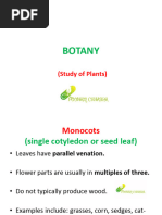 Leaf Arrangements | PDF | Root | Branches Of Botany