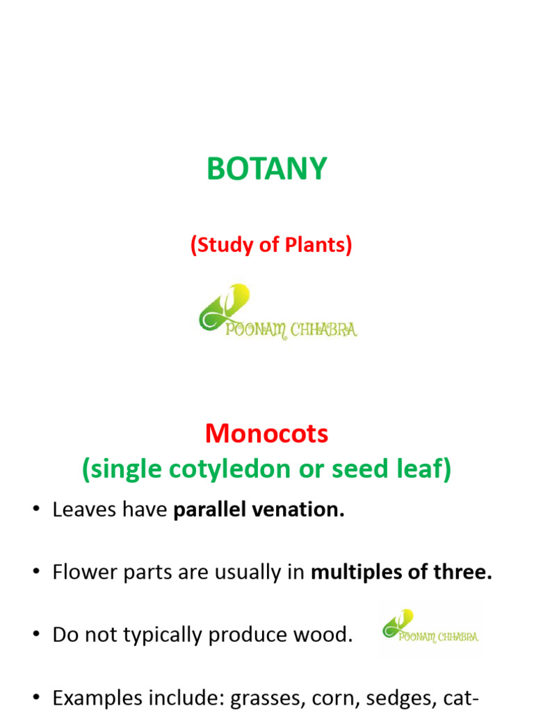 Botany | PDF | Leaf | Organisms