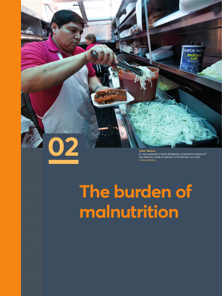 Chapter 2 2018 Global Nutrition Report | PDF | Non Communicable Disease | Malnutrition