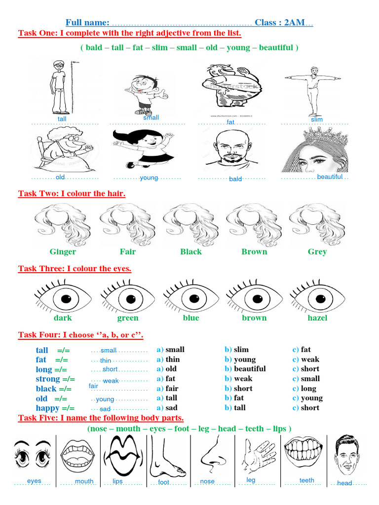 Dzexams Docs 2am 905587 | PDF | Human Head And Neck | Human Appearance