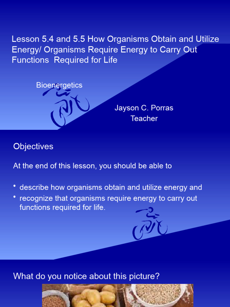 Lesson 5.4 and 5.5 How Organisms Obtain and Utilize Energy Organisms ...