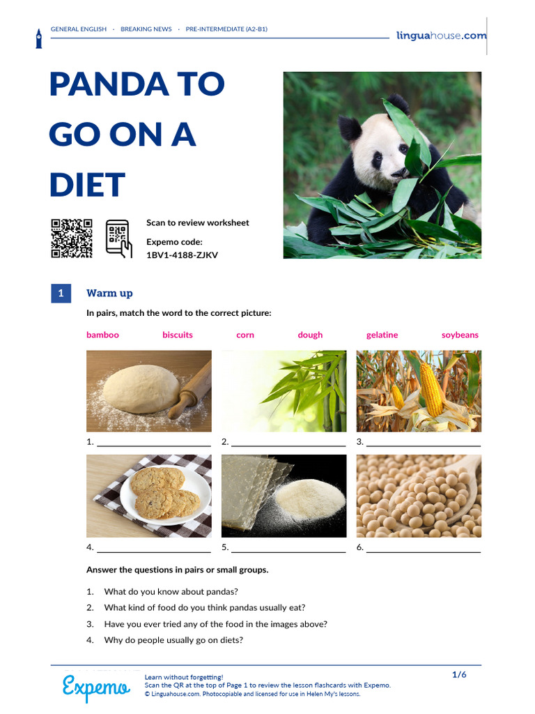 English Lesson: Panda Diet Plan | PDF | Giant Panda