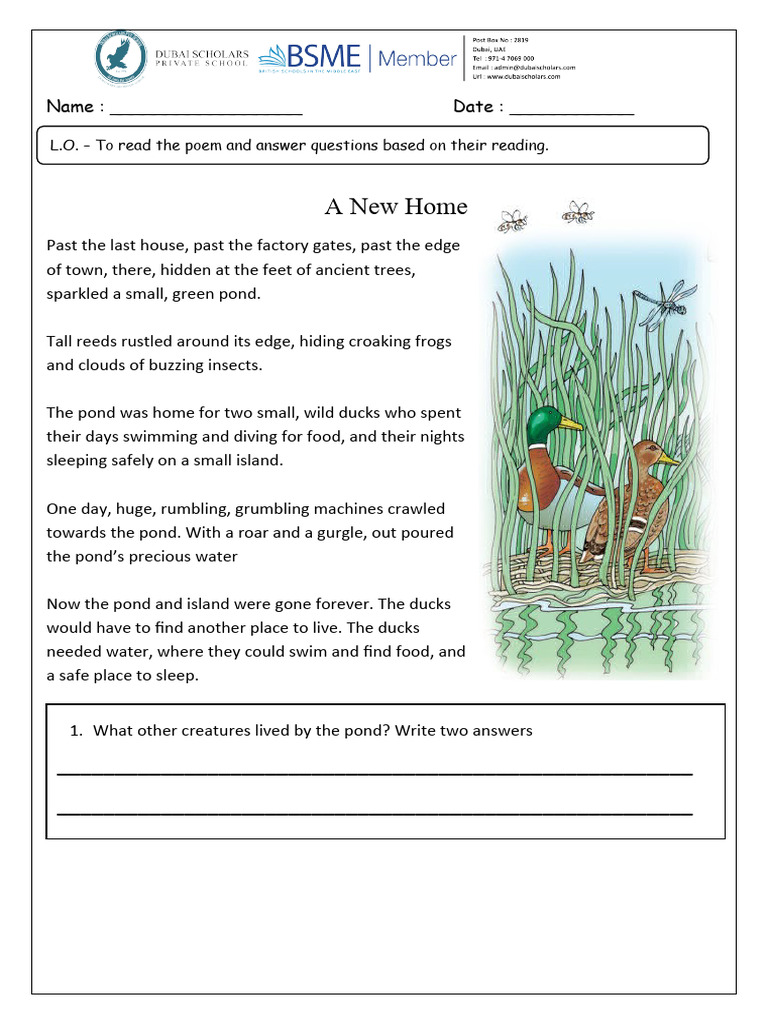 Fiction - A New Home - Reading Comprehension | PDF