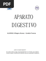 El Aparato Digestivo Tarjetas de Vocabulario | PDF
