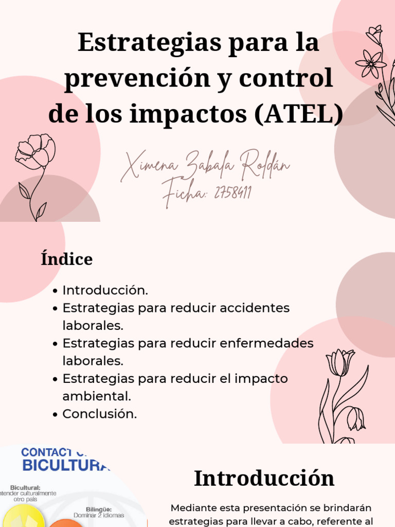 Presentación Sobre Las Estrategias para La Prevención y Control de Los Impactos Ambientales ...