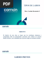 Tipos de Hojas de Acuerdo A La Forma de Su Limbo | PDF | Hoja | Botánica