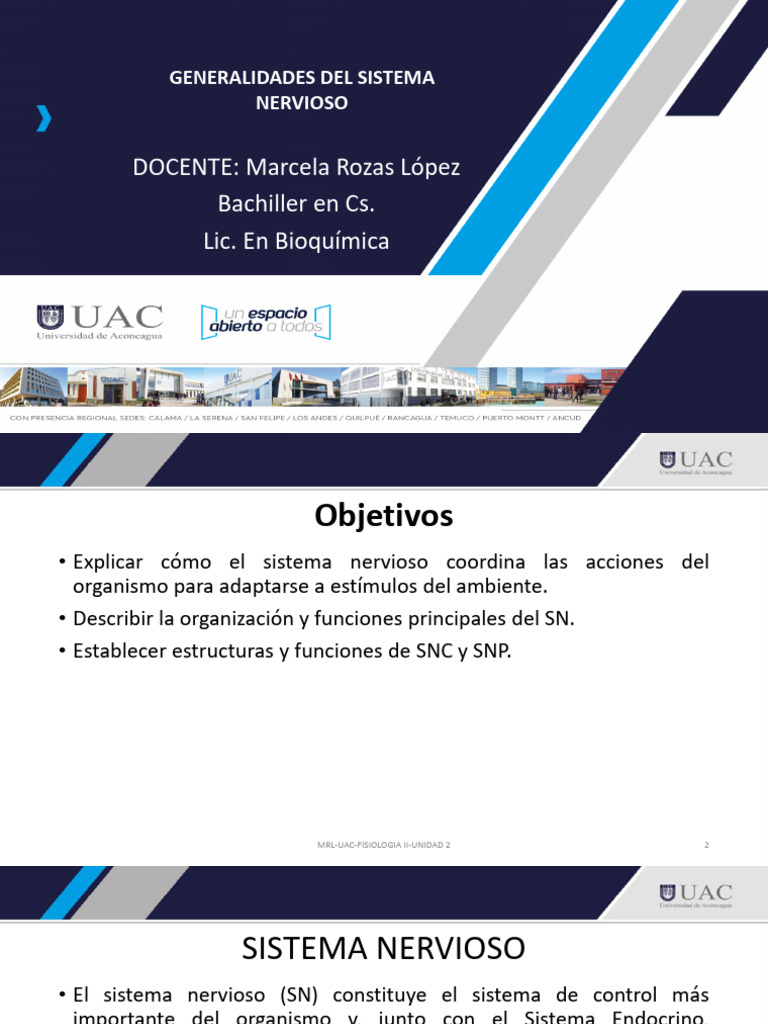 Generalidades Del Sistema Nervioso | PDF | Cerebro | Sistema nervioso