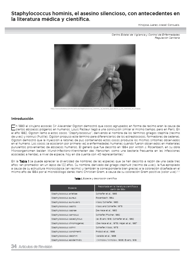Staphylococcus Hominis, El Asesino Silencioso, Con Antecedentes en La ...
