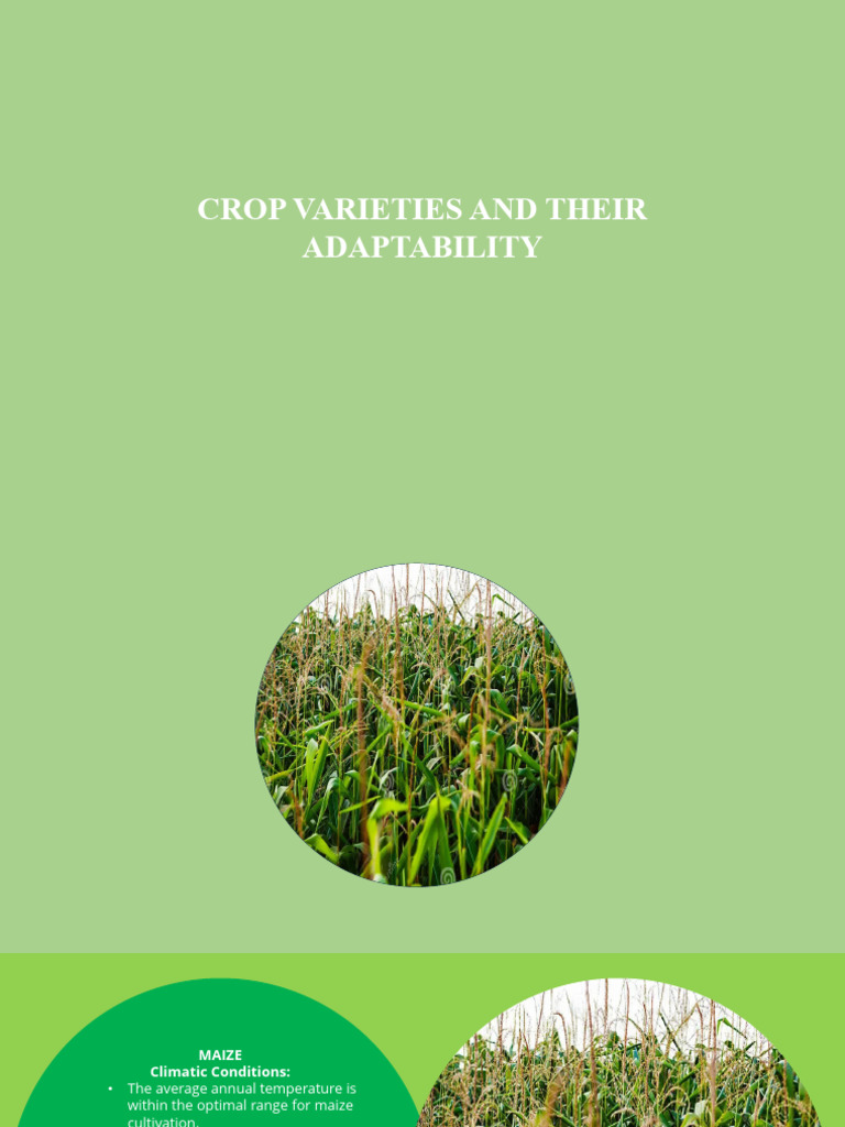 Crop Adaptability | PDF | Soil | Soil Fertility