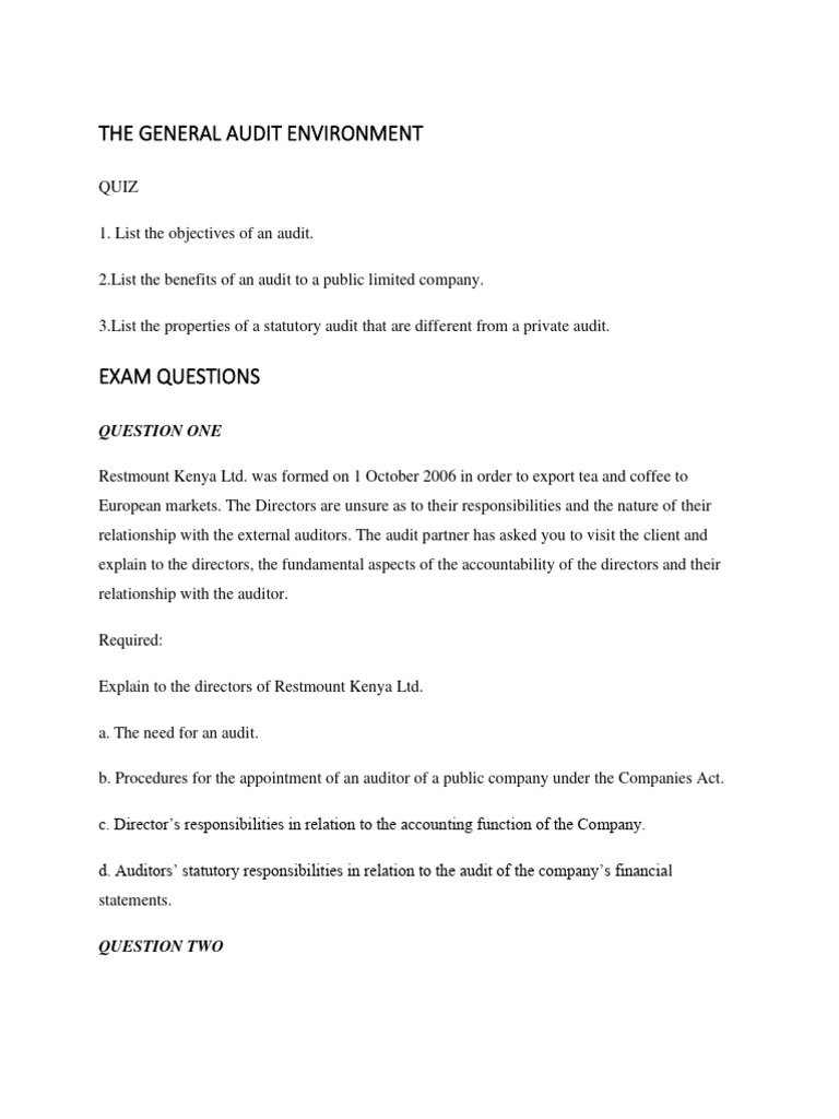 Audit 2023 | PDF | Audit | Going Concern