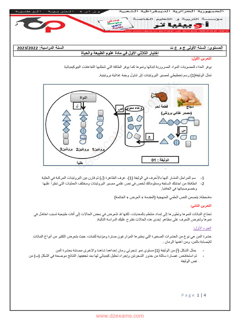 Dzexams 1as Sciences 988771 | PDF