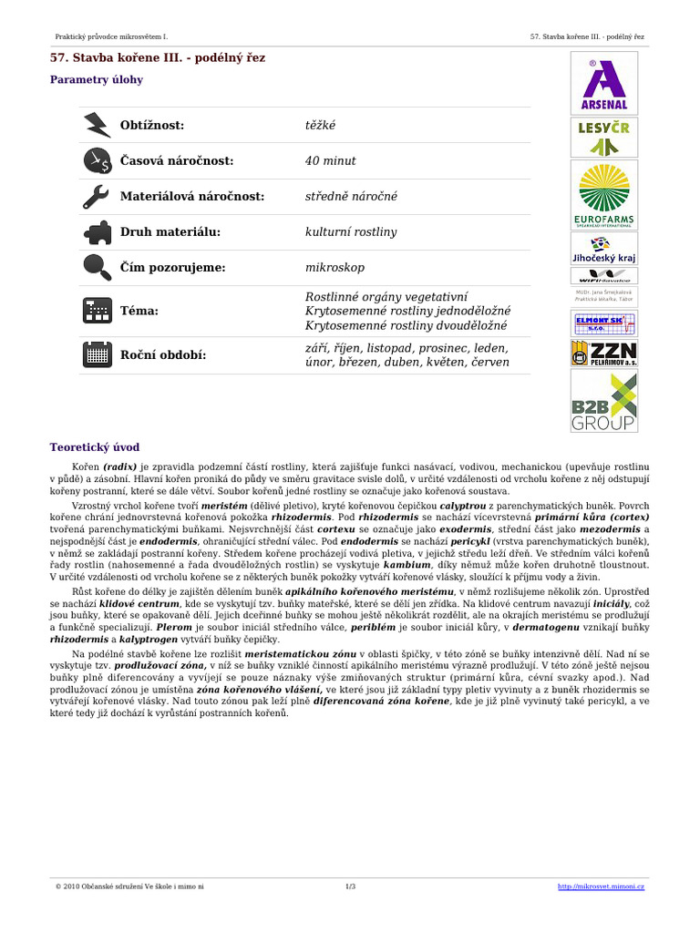 57 Stavba Korene 3 Podelny Rez | PDF
